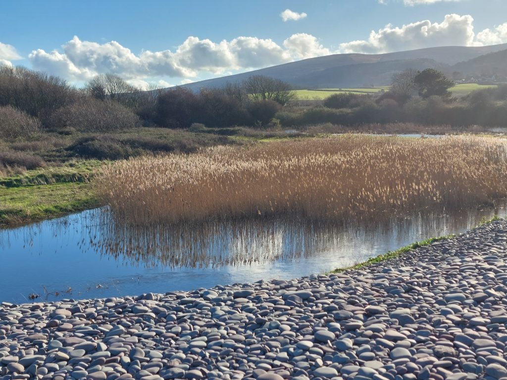 Severn Estuary Coastal Group