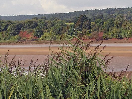 Severn Estuary Coastal Group